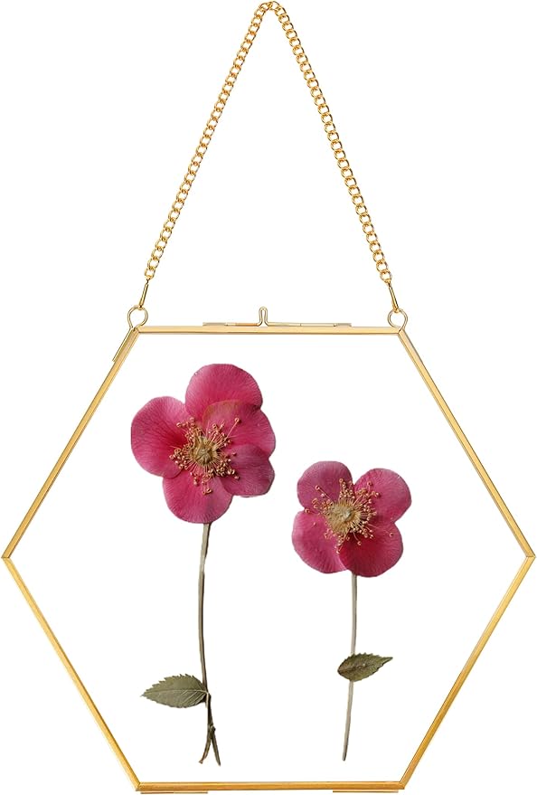 Amazon.com - REDHUGO Glass Pressed Flower Frame Handmade, Double Glass ...