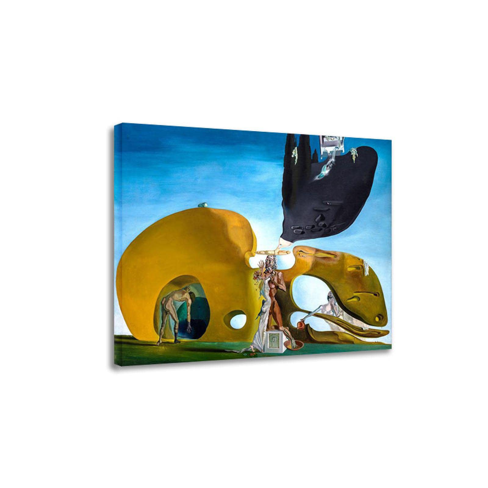 Dali Birth Of Liquid Desires