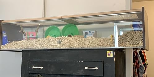 Amazon.com: 1/4 Inch Mesh 24 Inch Tall x 5 Feet Long Hardware Cloth ...