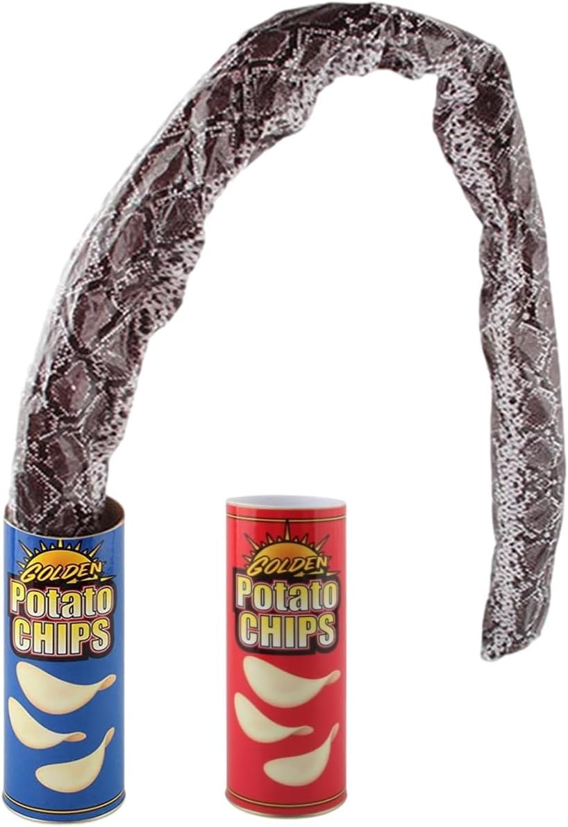 2 Pack Funny Magic Potato Chip Cans Snake Scary Prank Hilarious Chip ...