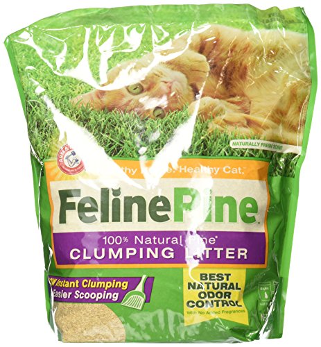 Feline Pine Cat Litter – The 15 best products compared - Wild Explained