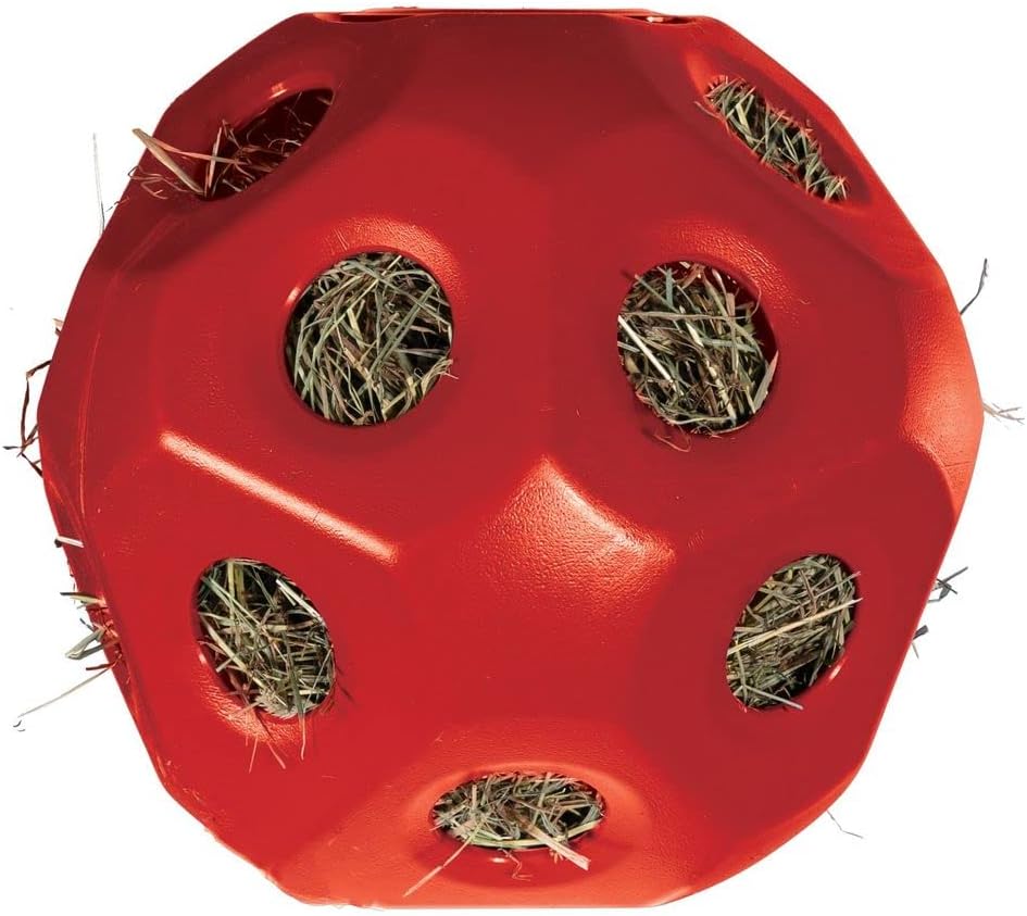 Amazon.com: Schneiders Slow Feed Hay Ball Feeder for Horses | Color Red ...