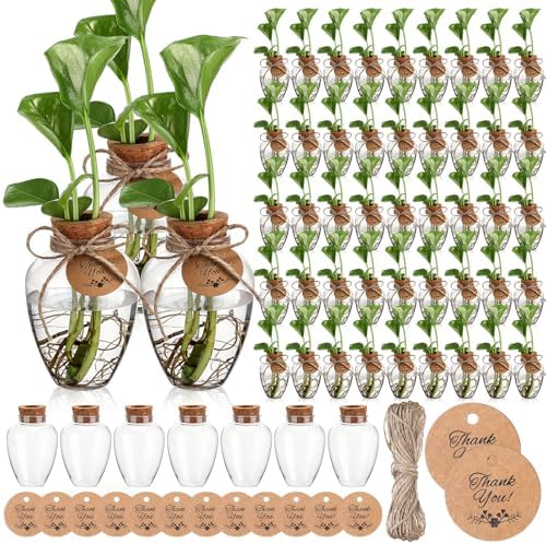 Amazon.com : Baderke 48 Pack Big 10oz Plastic Plant Propagation ...
