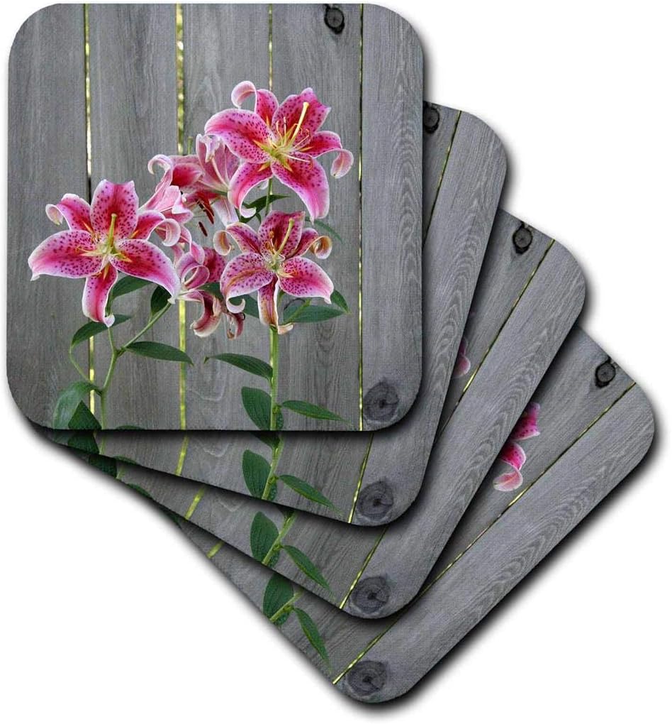 Amazon.com: 3D Rose Stargazer Lily by Rustic Fence Soft Coasters ...