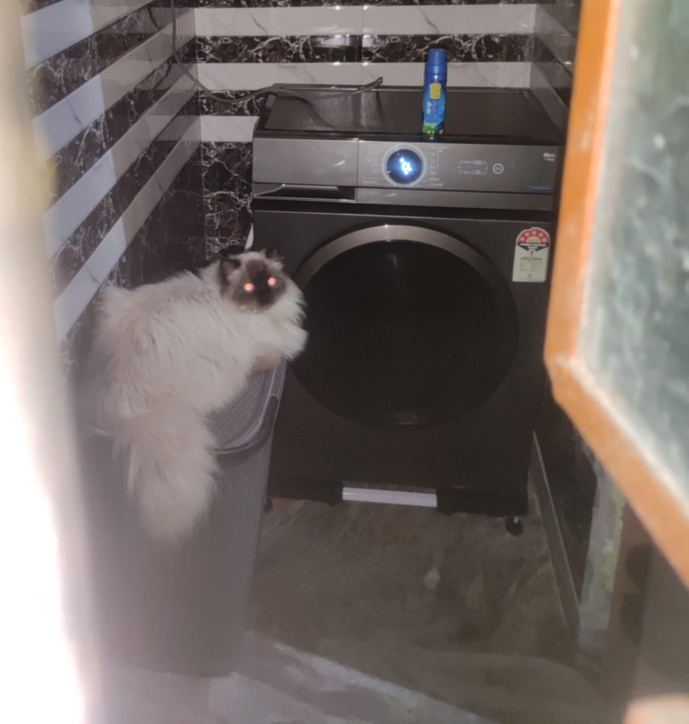 Midea 7 Kg 5 Star Fully Automatic Front Load Washing Machine (MF100W70 ...