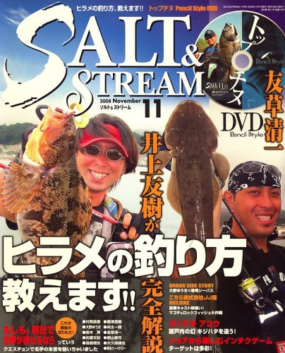 Amazon.fr - SALT & STREAM (ソルトアンドストリーム) 2008年 11月号 [雑誌] - Livres