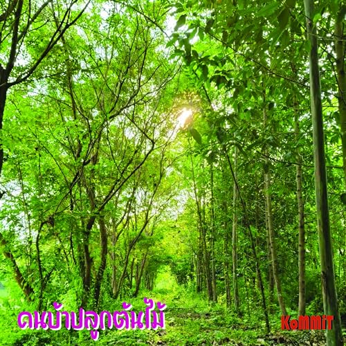 Amazon MusicでKommitのคนบ้าปลูกต้นไม้を再生する