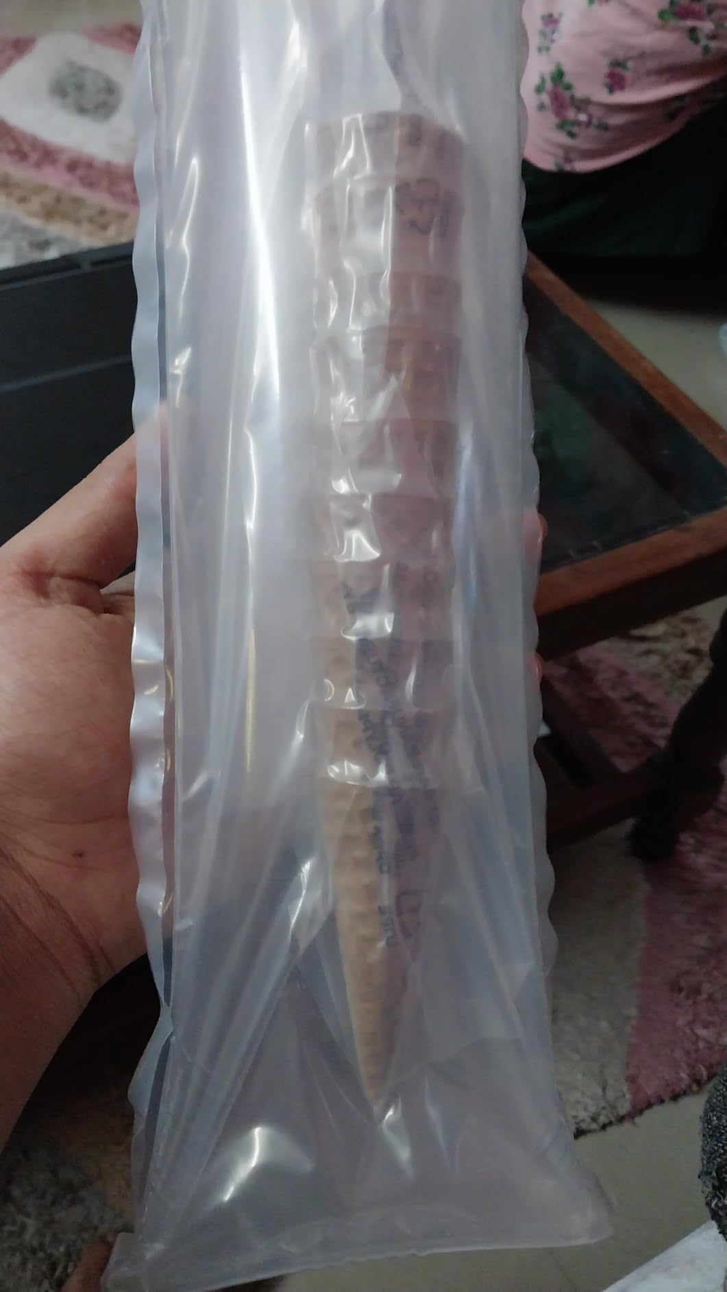 ICE CREAM CONES/SOFTY CONES/WAFER CONES/WAFFLE CONES/SUGAR CONES ...