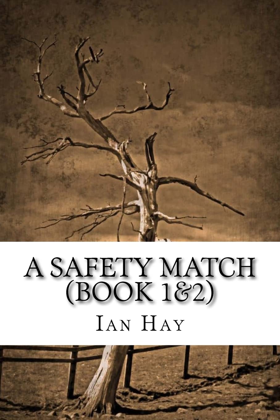 A Safety Match (Book 1&2): (Ian Hay Classics Collection): Hay, Ian ...