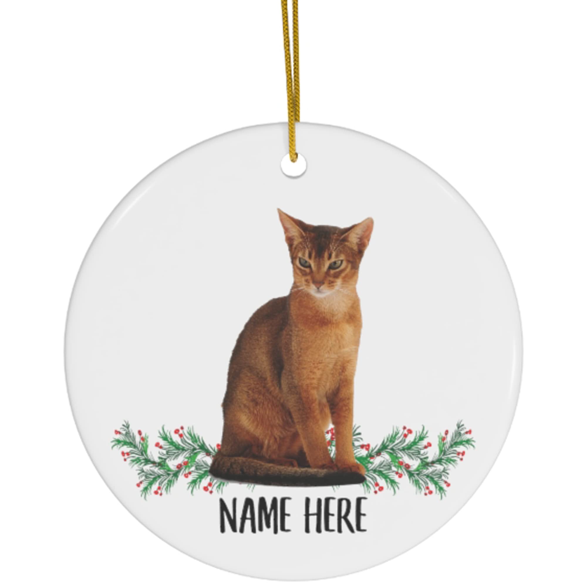 Ruddy Vs Red Abyssinian