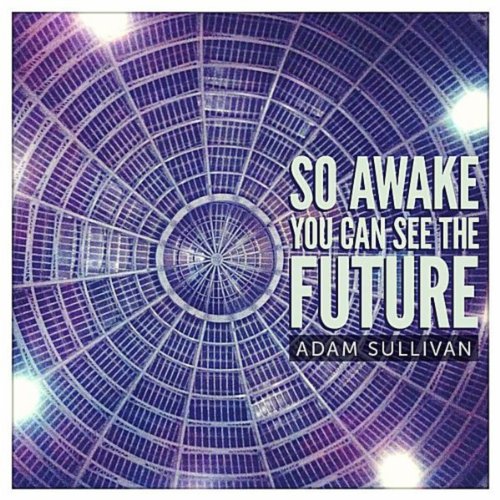 Play So Awake You Can See the Future by Adam Sullivan on Amazon Music