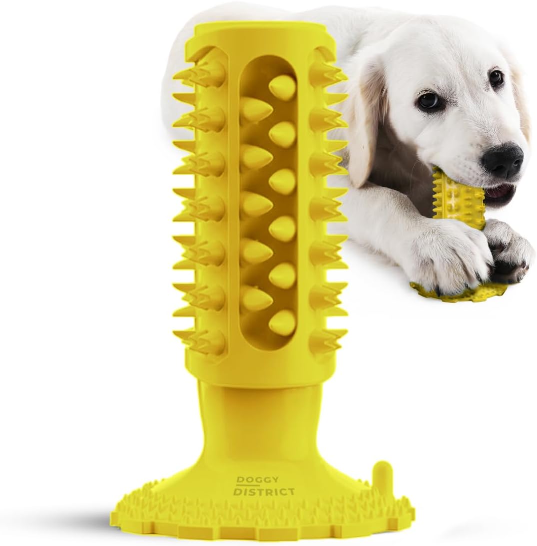 Pet Supplies : Doggy District - Durable Squeaky Rubber Interactive ...