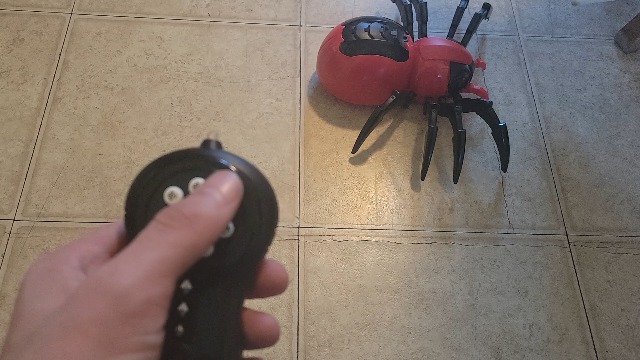 Watch Remote Control Spider toy review on Amazon Live