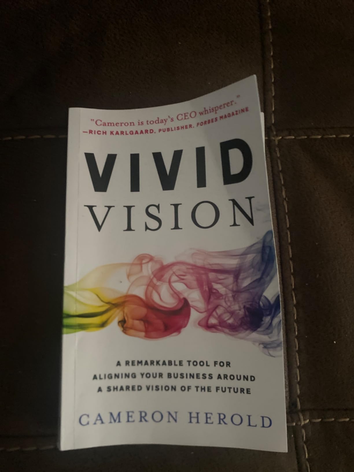 Amazon.com: Vivid Vision: A Remarkable Tool For Aligning Your Business ...