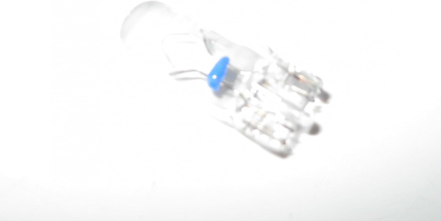 Amazon.com: BMW 燈泡 12V 伏特 5W 瓦 7160797 63217160797 : 汽車