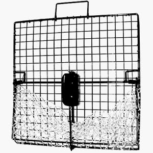 Amazon.com : BN-1 Bird Snap Trap : Bird Repellents : Patio, Lawn & Garden