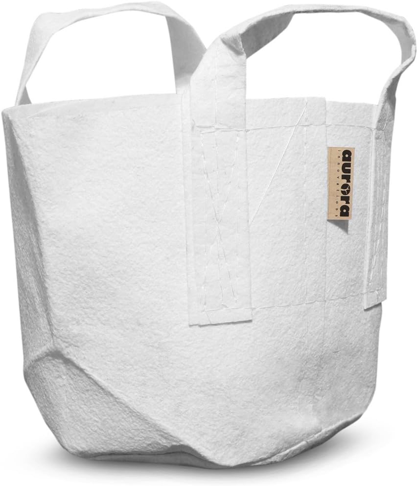 Amazon.com : Roots Organics RORP3WH White Root Pot w/Handles, 3 gal, 9 ...