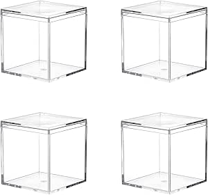 Amazon.com: Dayaanee Small Acrylic Box with Lid Clear, 4 Pack ...