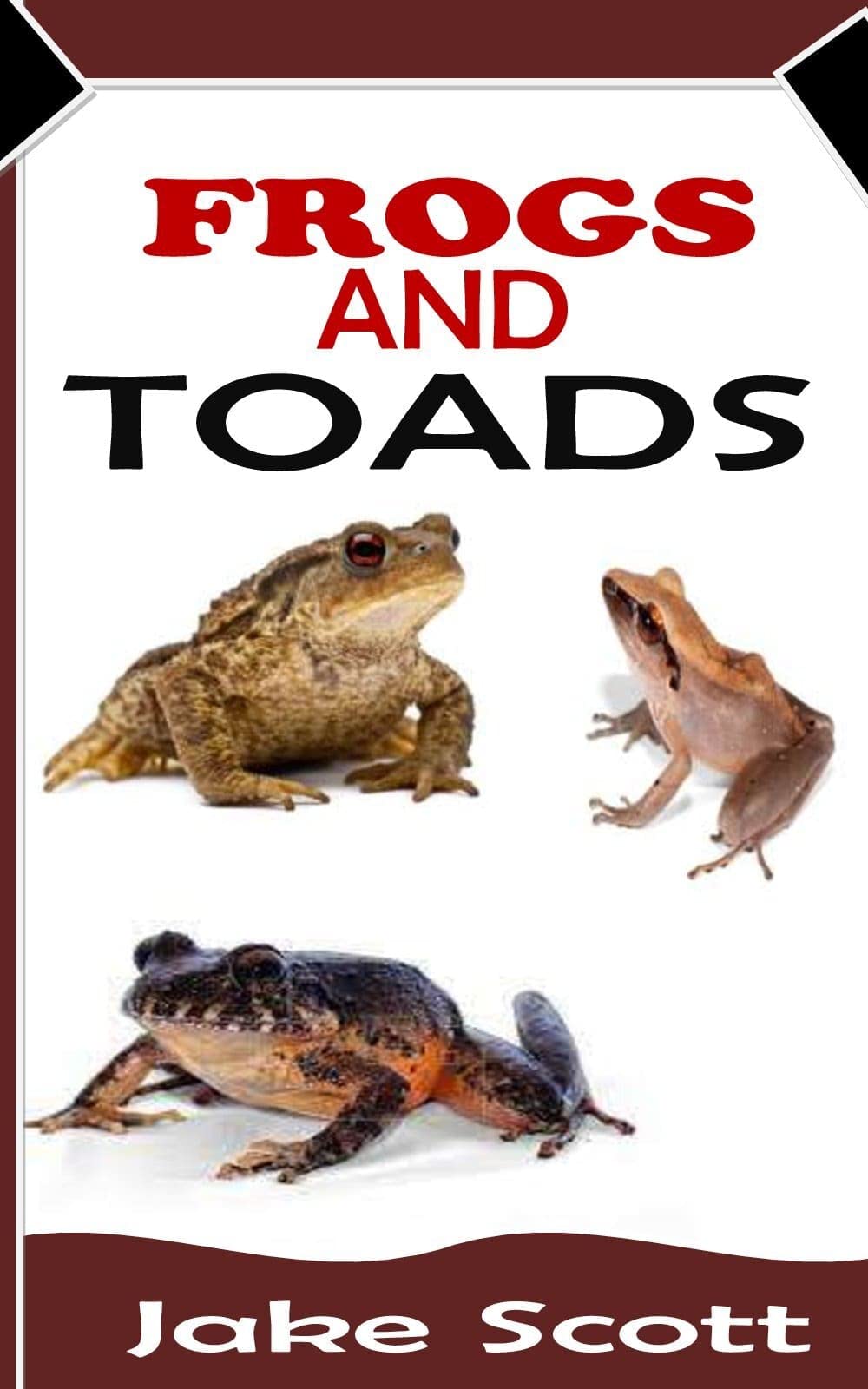 Buy FROGS AND TOADS: Everything You Need To Know About Frogs and Toads ...