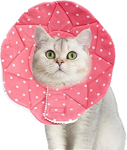 Amazon.com : Soft Recovery Cone for Cats, Adjustable Post-Surgery ...