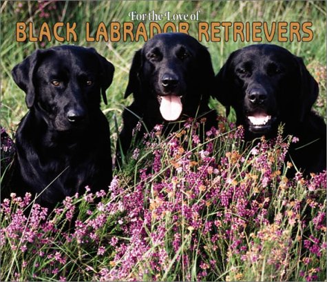 For the Love of Black Labrador Retrievers Deluxe 2004 Calendar ...