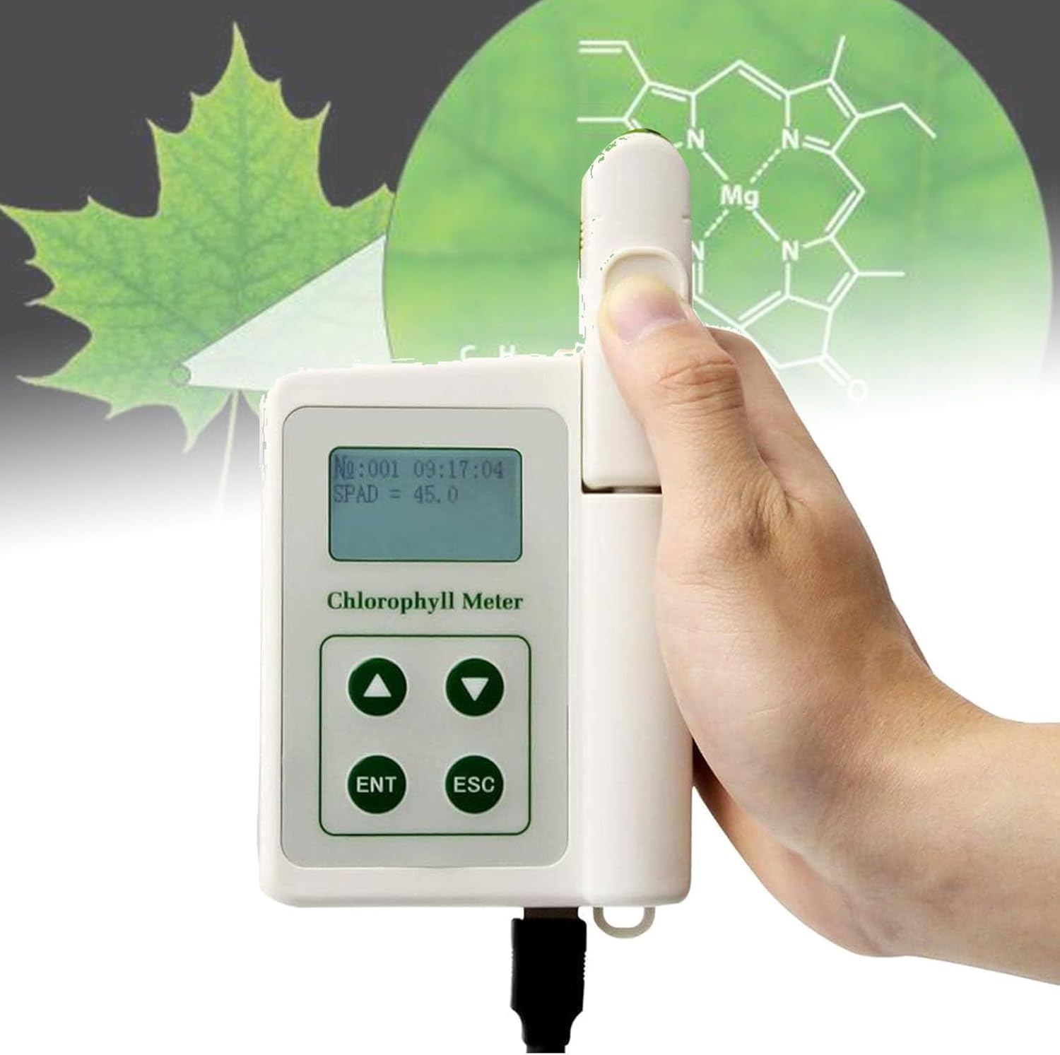 Amazon.com: NVYAZJ Portable Chlorophyll Testing Meter, Smart Digital ...