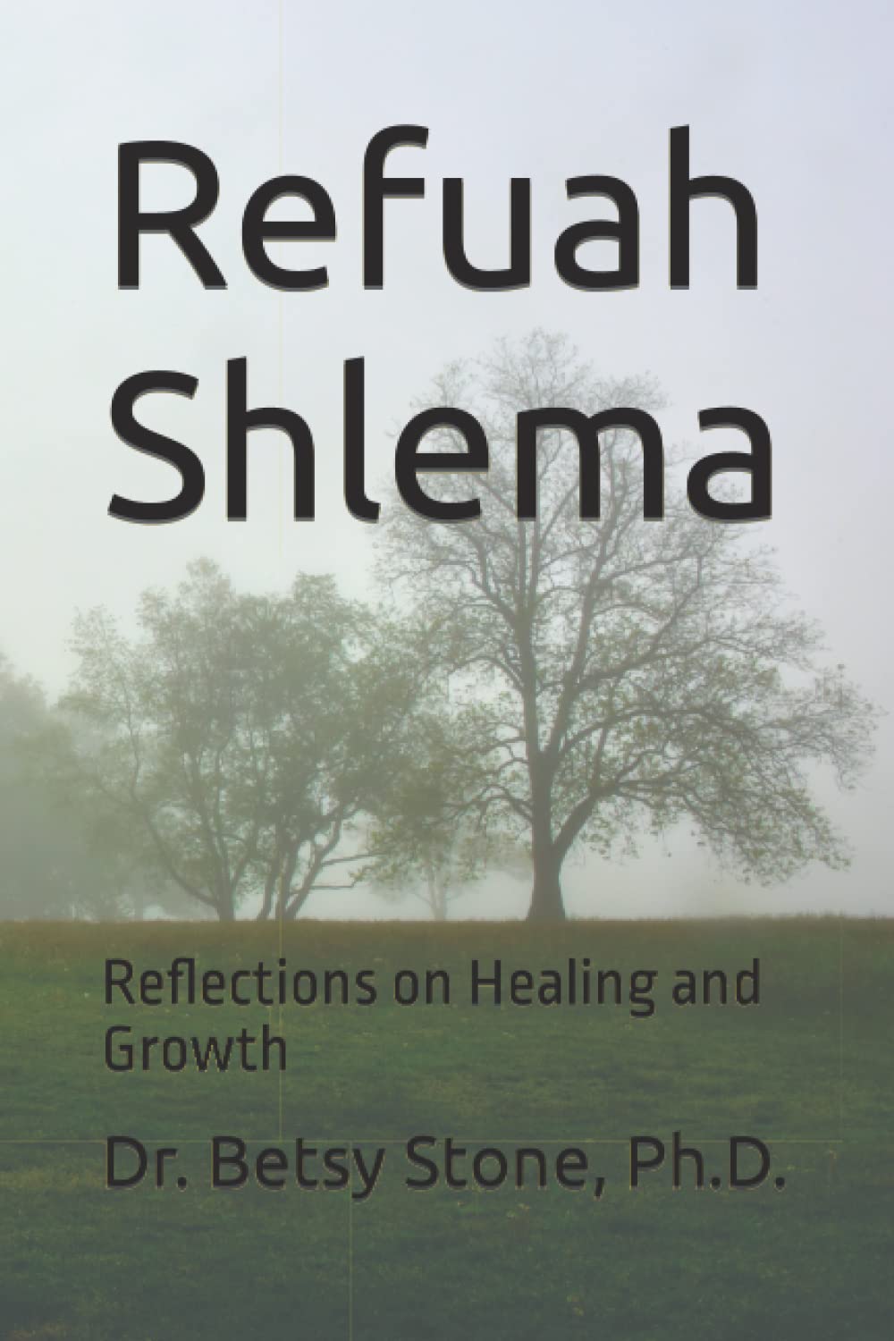 Refuah Shlema: Reflections on Healing and Growth: Stone Ph.D., Dr ...