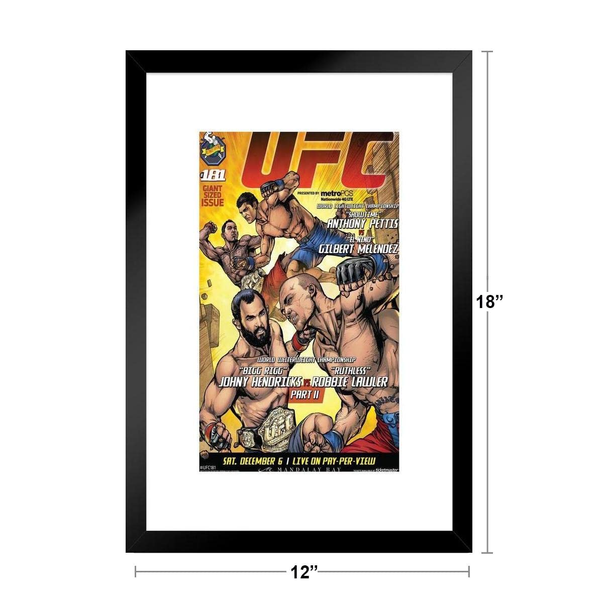 Ufc 181 Poster