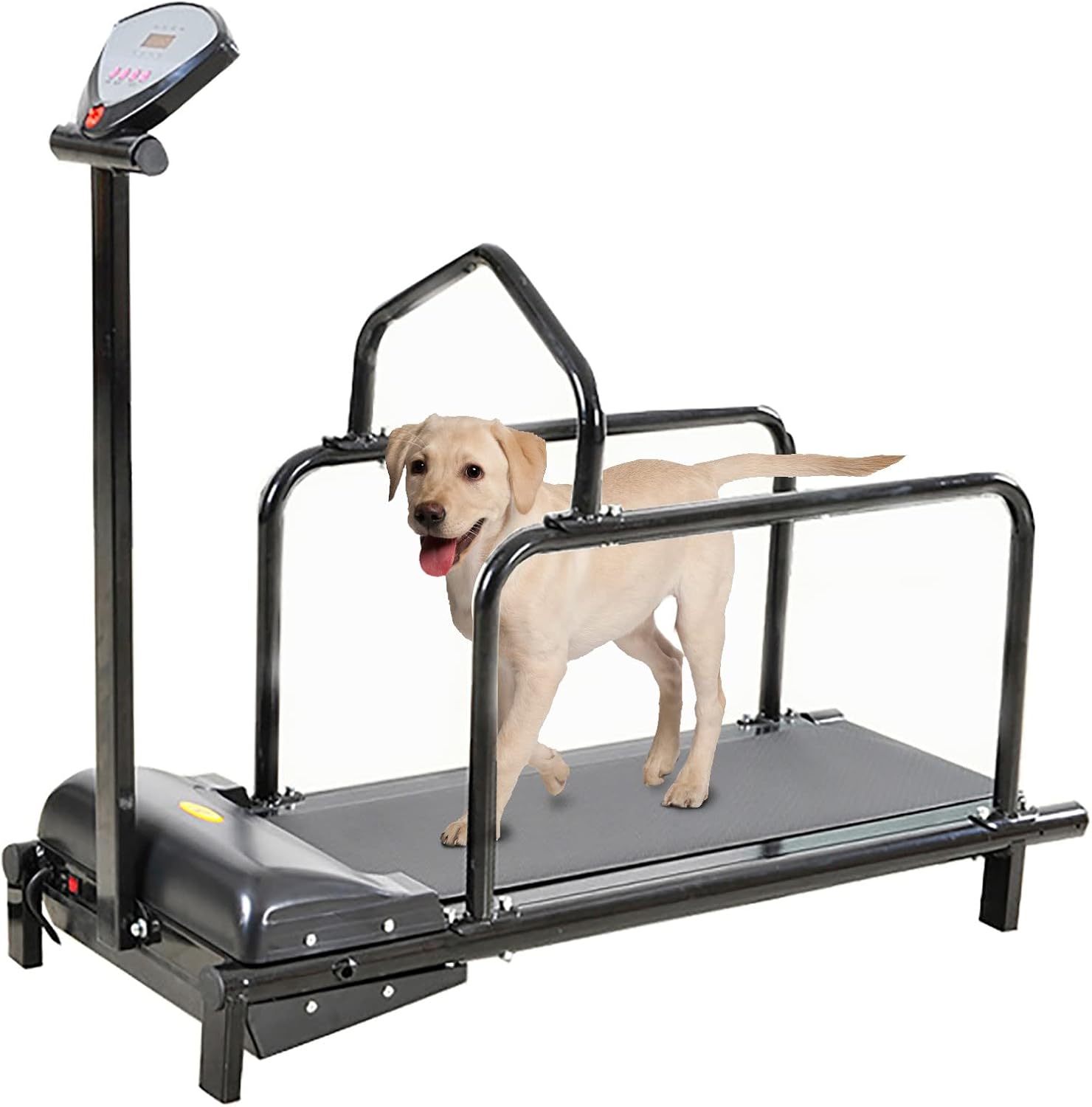 Dog Treadmill for Large Dogs Self Propelled, Doggy Treadmill, Dog ...