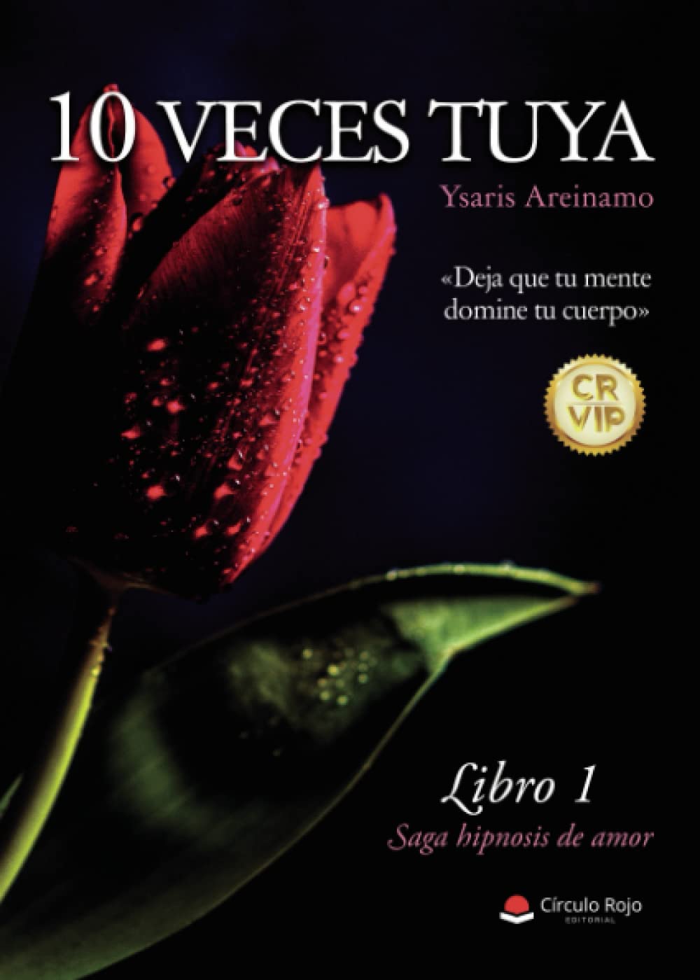 10 veces tuya (Spanish Edition): Areinamo, Ysaris: 9788411594295 ...