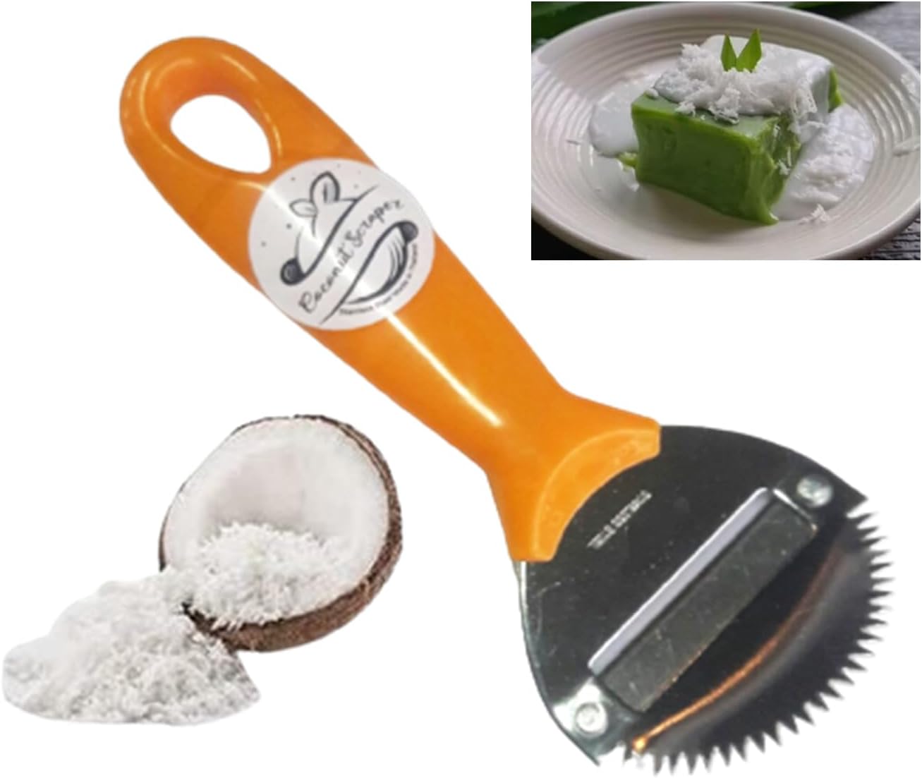 Amazon.com: Dolphin Shop, Fresh Coconut Grater Hand Scraper Shredder ...