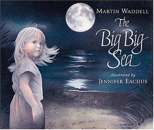 Amazon | The Big Big Sea | Waddell, Martin, Eachus, Jennifer | Family Life
