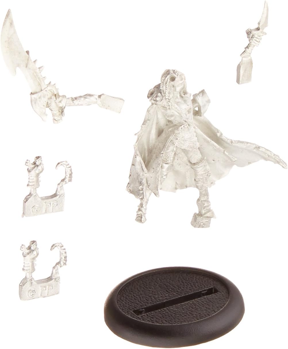 Warmachine: Cryx Skarre Pirate Queen 2009 (1 figure) : Buy Online at ...