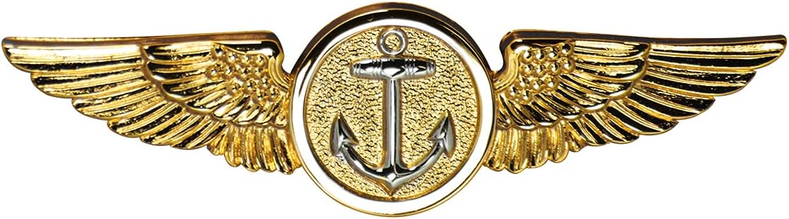 Amazon.com: Naval Aviation Observer Flight Meteorologist Badge Gold ...