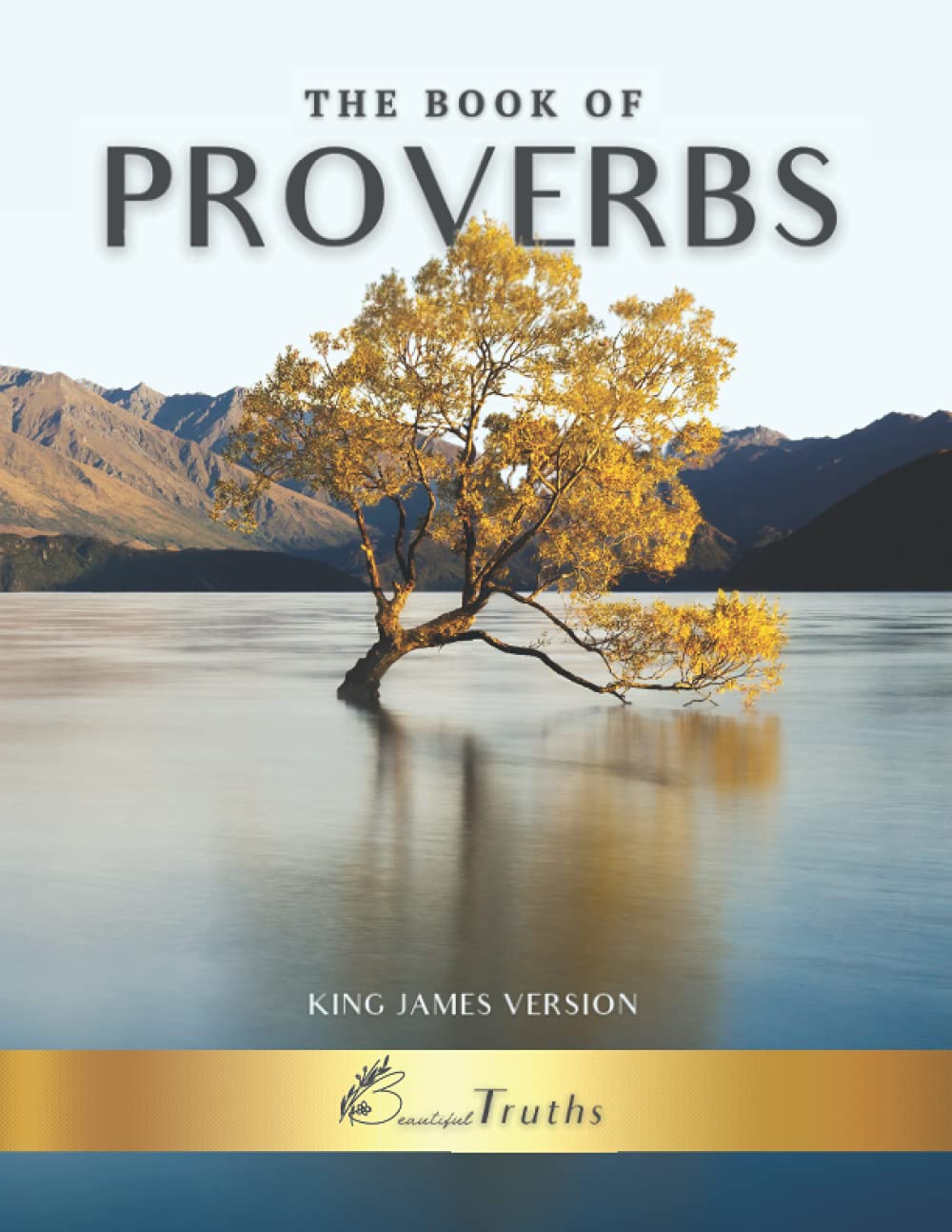 Buy The Book of PROVERBS: - by Beautiful Truths - Coffee Table Display ...