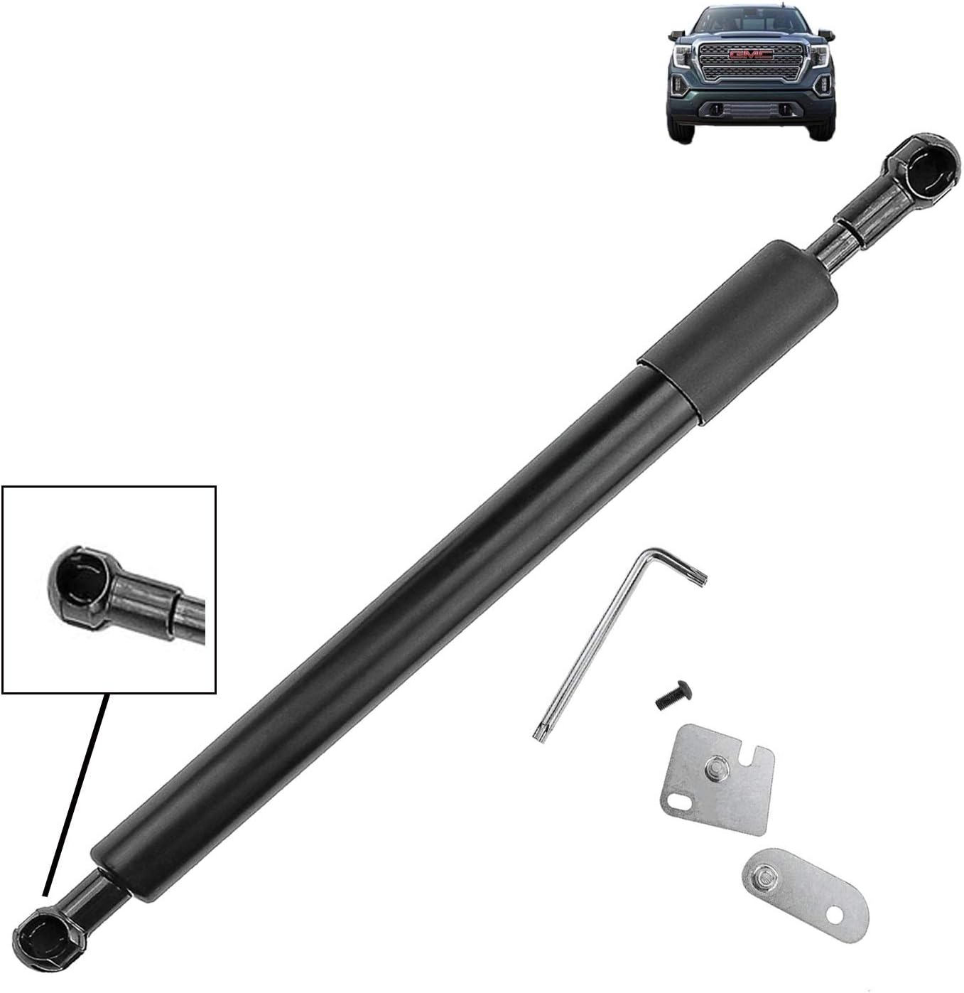 Amazon.com: Tailgate Assist for 2017 2018 2019 Ford F250 Super Duty ...