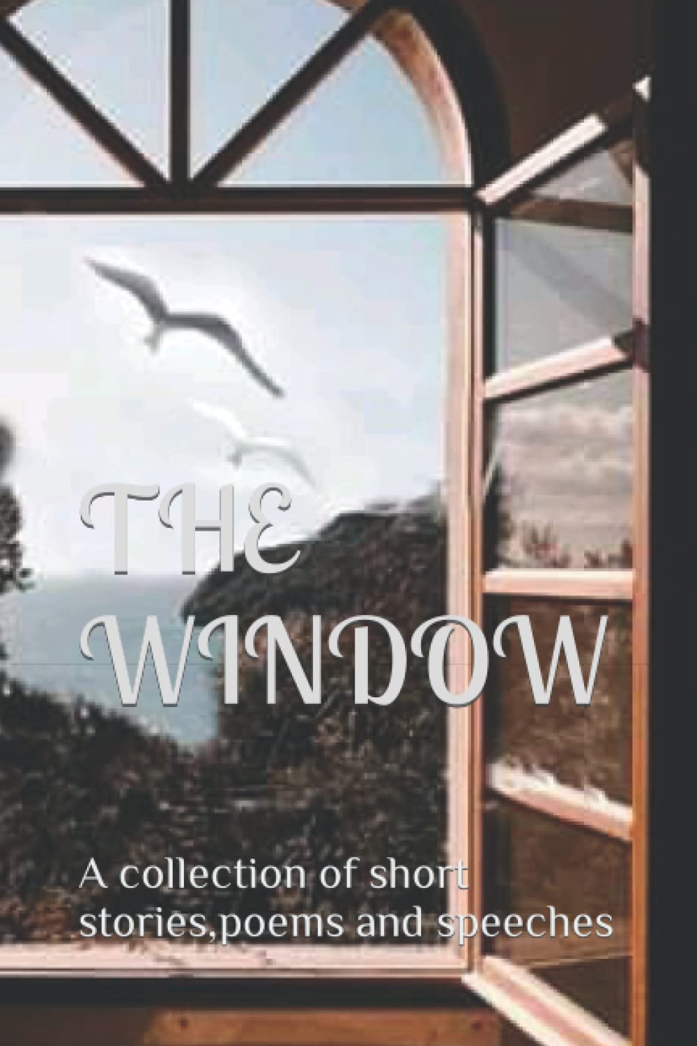 The Window: a collection of short stories, poems and speeches : Amazon ...