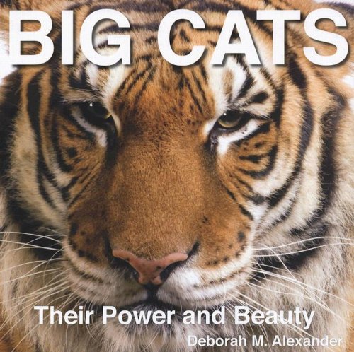 Big Cats: Their Power and Beauty: Alexander, Deborah M.: 9780785824268 ...