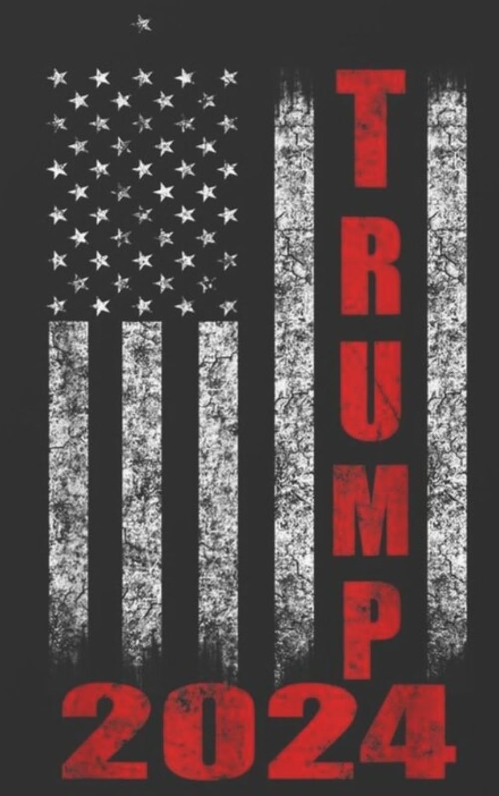 Amazon.com: 5D Diamond Painting Kits for Adults Trump Flag 2024 Diamond ...