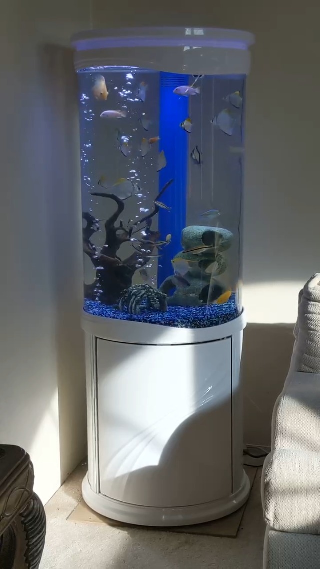 Watch Vepotek Aqualic 360 Acrylic Aquarium Cylinder Fish Tank 78 ...