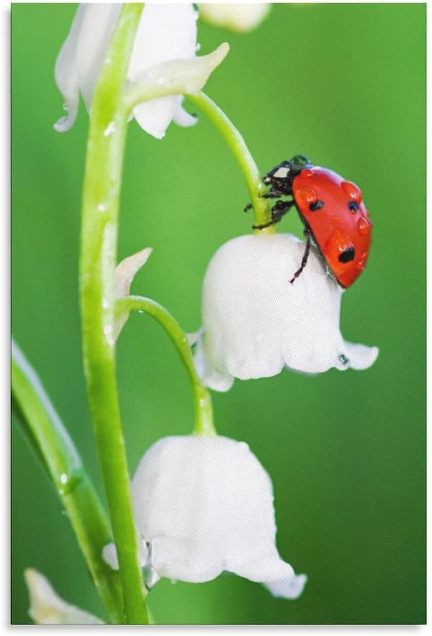 Amazon.com: Ladybug Lily of The Valley Ladybird Canvas Poster Bedroom ...