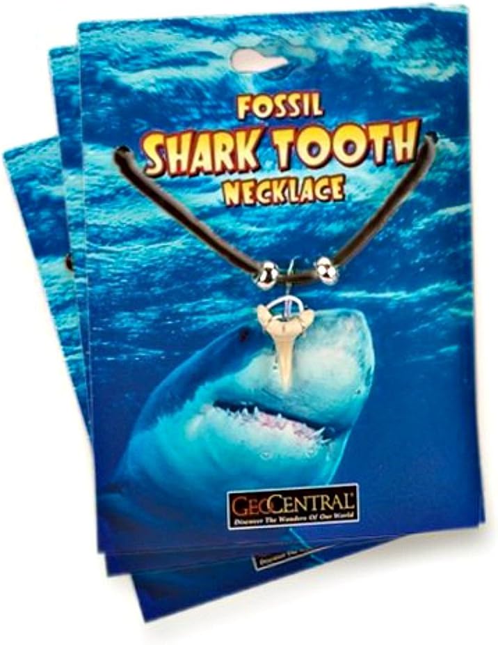 Amazon.com: Shark Tooth Necklace(strings color may vary) : Clothing ...