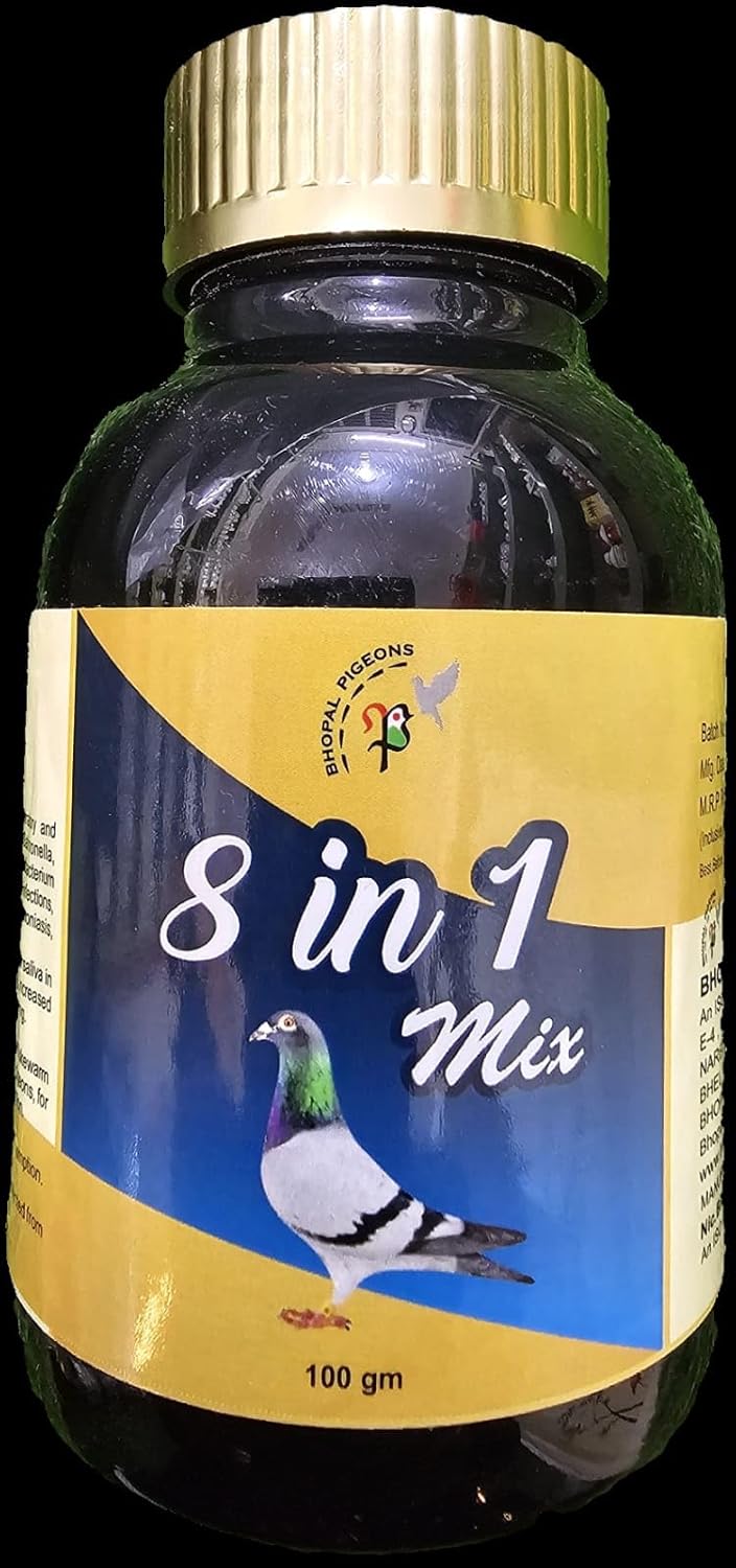 Bhopal Pigeons 8 in 1 Powder for Pigeons, 4 Ingredients, Pack of 100GM ...