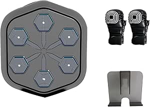 Amazon.com: ADovz Wall Mounted Target Boxing Mat, Electronic Boxing ...