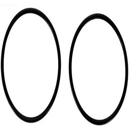 Amazon.com: Zodiac R0446200 Lid Seal and Lid O-Ring Replacement for ...