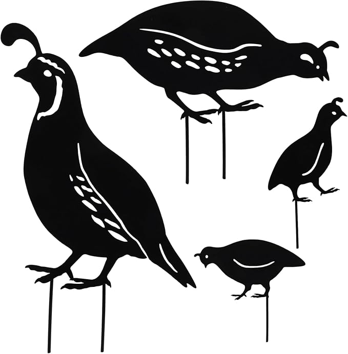 Amazon.com: NUOBESTY 4Pcs Metal Quail Statue Stakes Standing Iron Quail ...