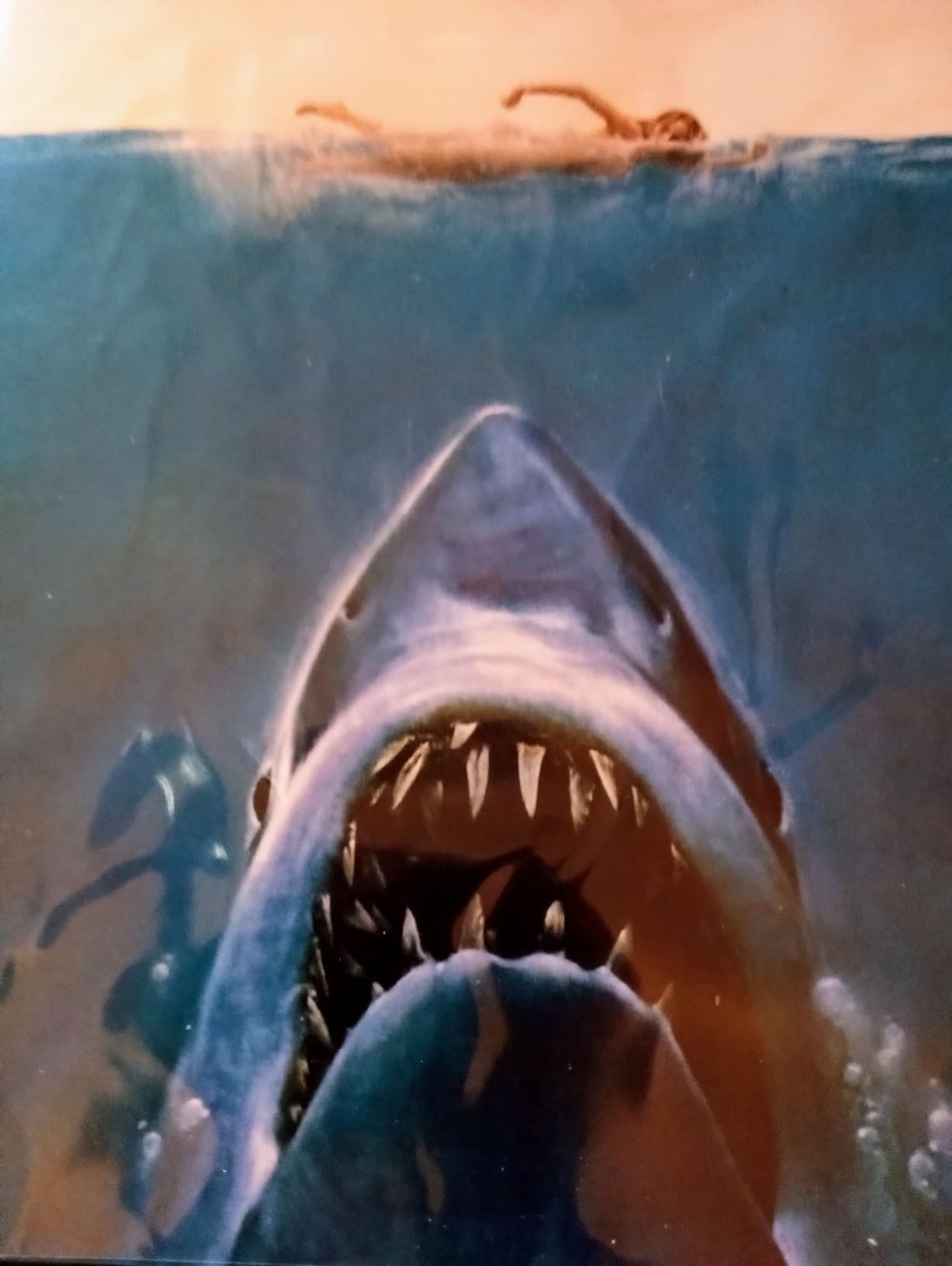 Amazon.com: Jaws : Roy Scheider, Robert Shaw, Richard Dreyfuss ...