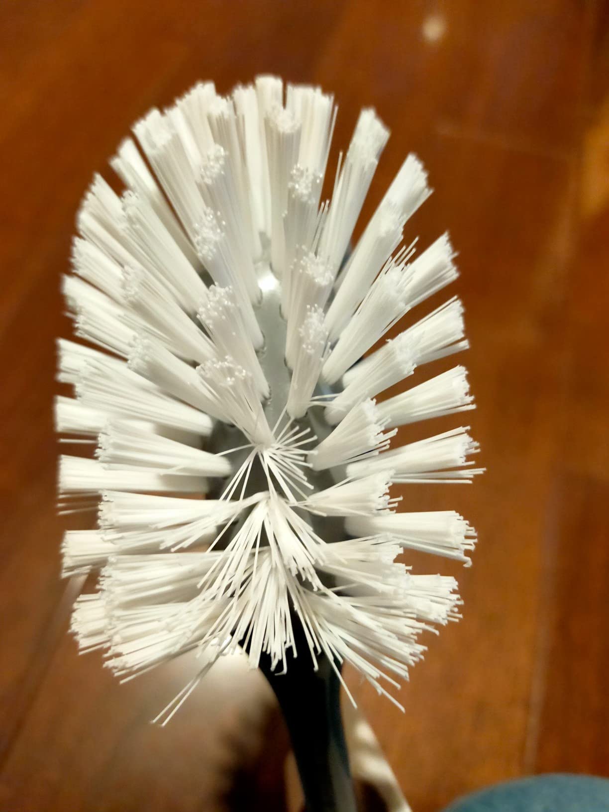 Amazon｜イーオクト ecomfortHouse （エコンフォートハウス） ディッシュブラシ 1個｜キッチンブラシ オンライン通販