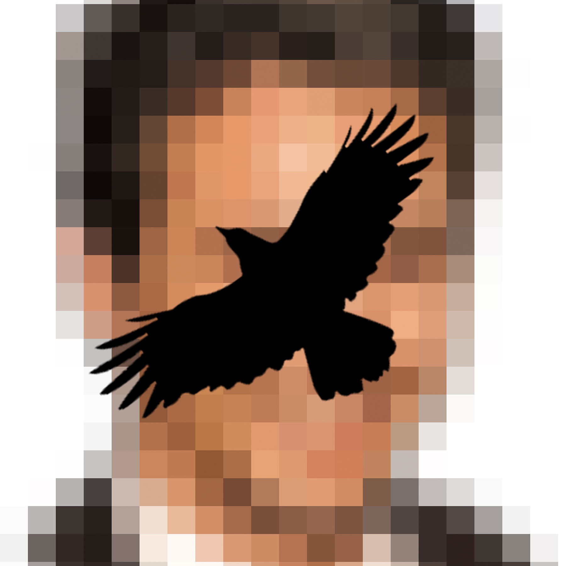 Amazon.com: Kingston Crow: books, biography, latest update