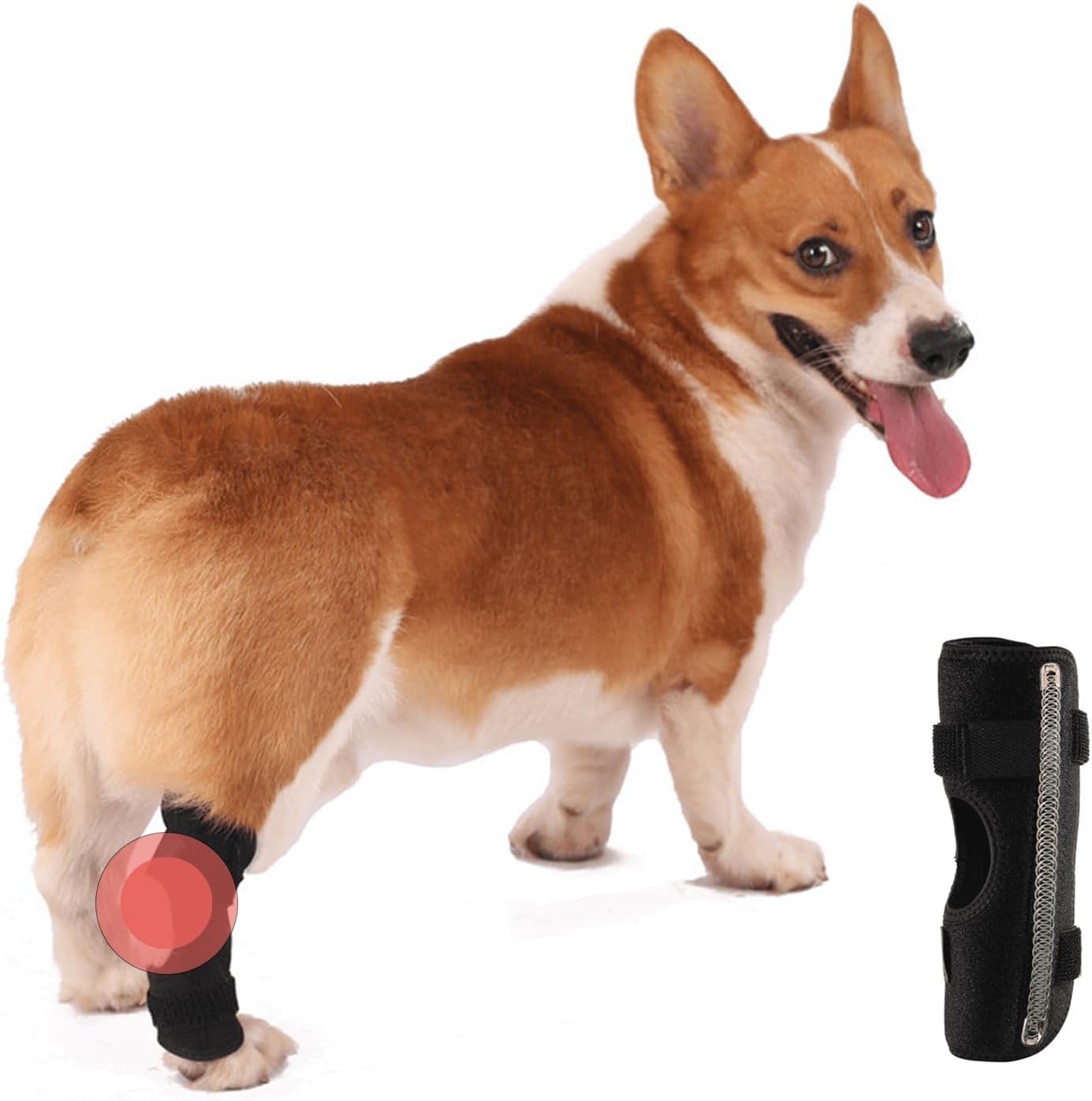 Amazon.com : Anosiar Dog Rear Leg Hock Brace, Pair of Canine Dog Leg ...